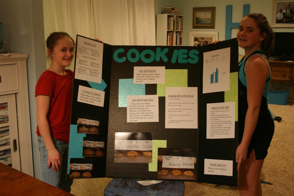 Science Fair Hopeful Homemaker Science Fair Hopeful Homemaker